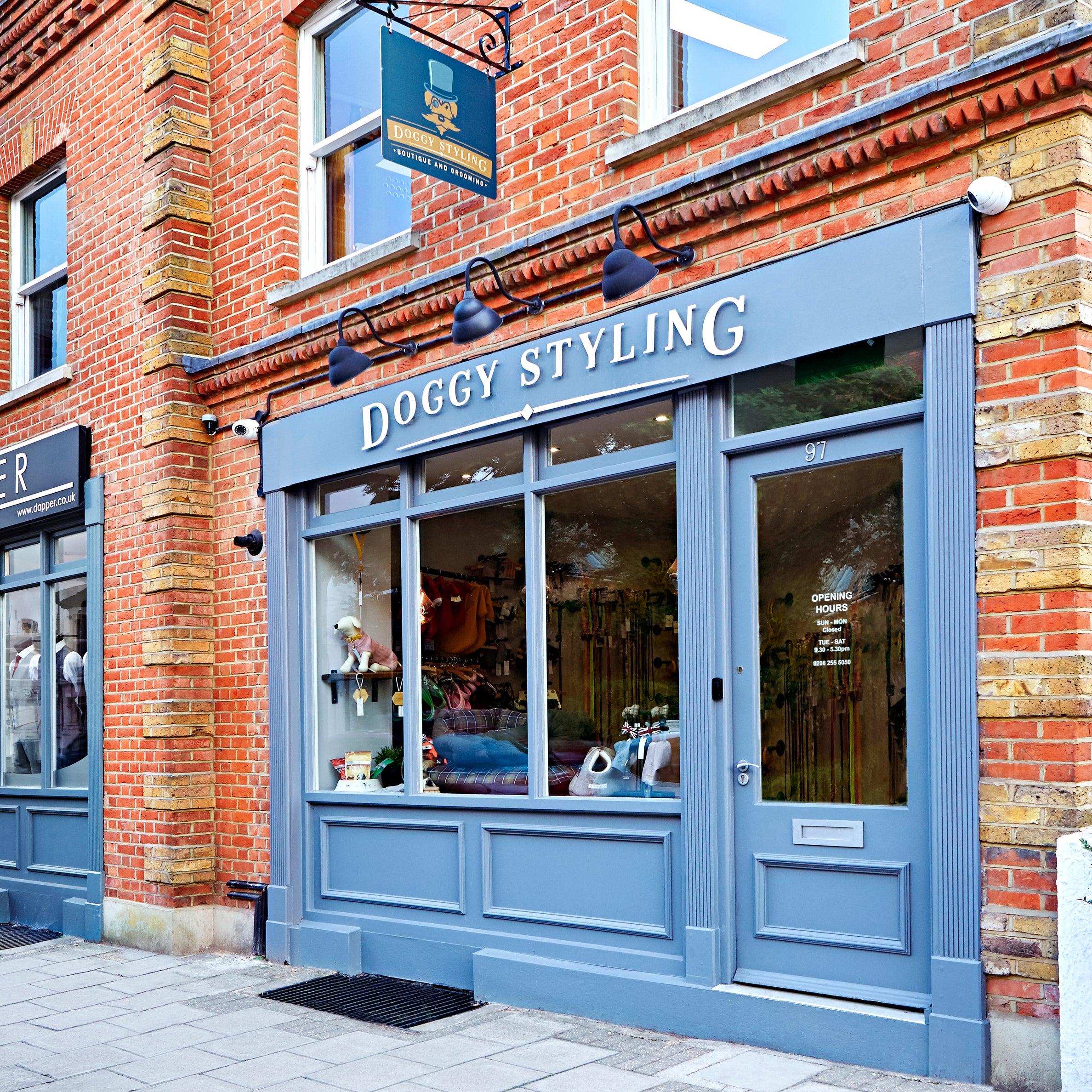 Surrey Dog Grooming - Doggy Styling